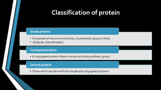 Protein ppt | PPT
