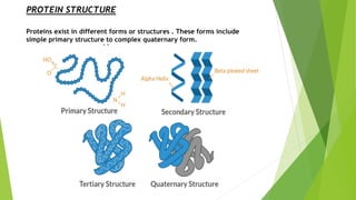 PROTEIN.pptx