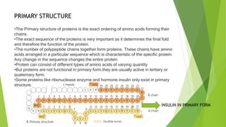 PROTEIN.pptx