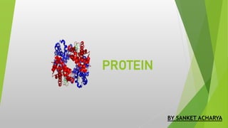 PROTEIN.pptx