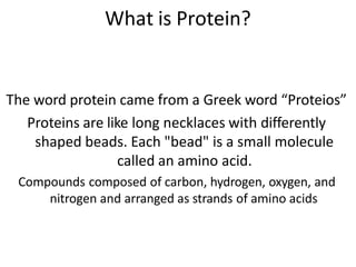 Protein.pptx