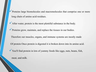 Protein.pptx