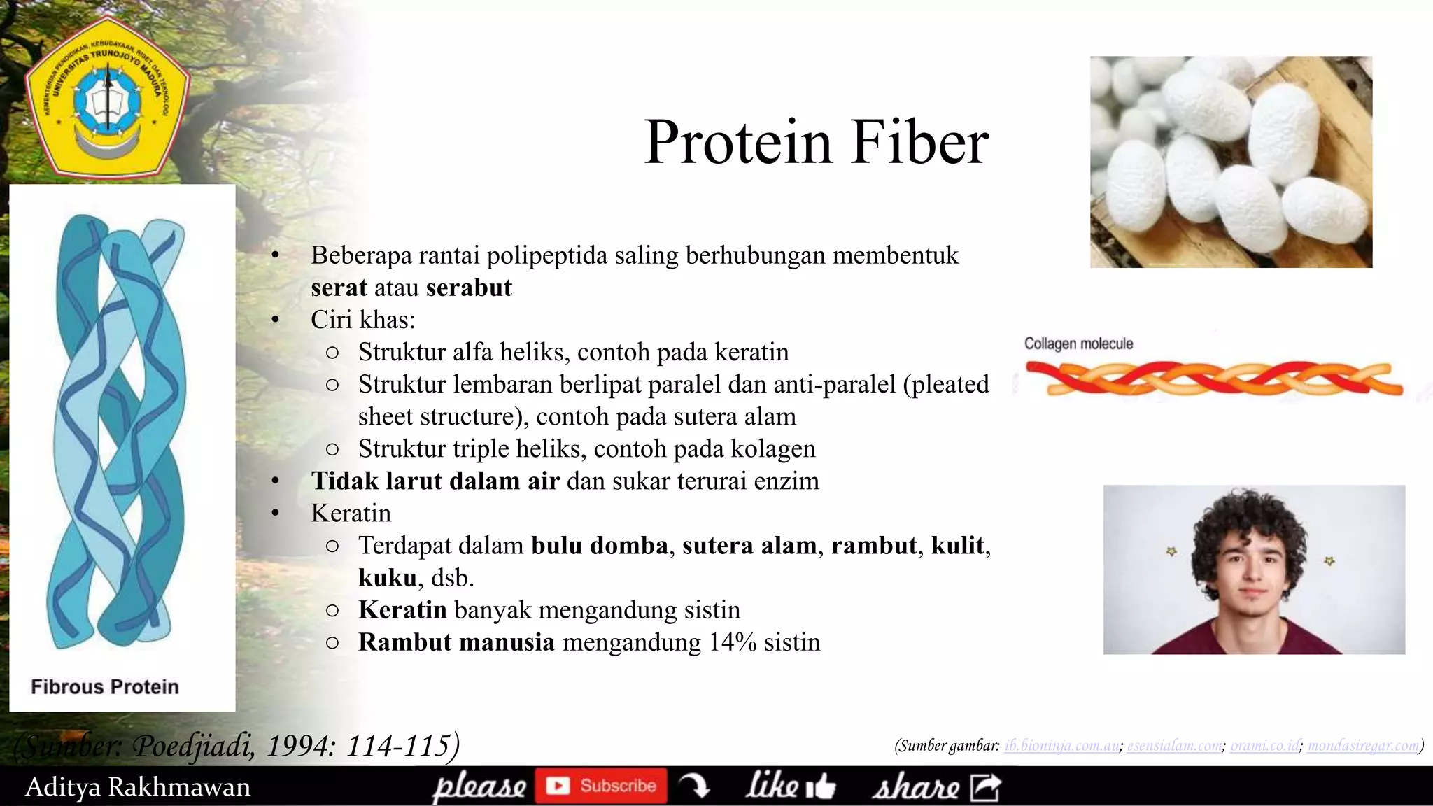 Protein | PPT