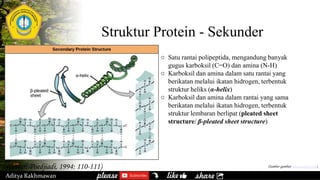 Protein | PPTX