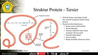 Protein | PPT