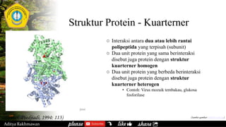 Protein | PPT