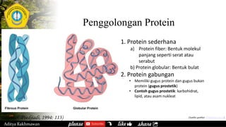 Protein | PPT