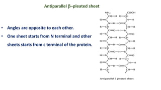 Protein.pdf