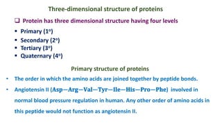 Protein.pdf
