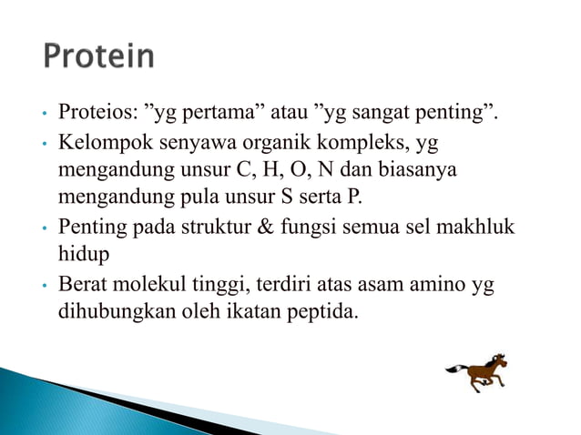 protein.ppt | Free Download