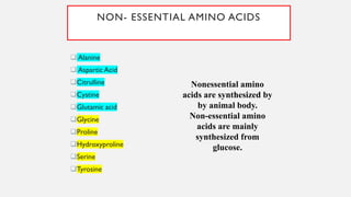 Protein-Introduction, Classification, Function, Deficiency Symptoms | PDF
