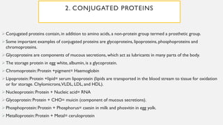 Protein-Introduction, Classification, Function, Deficiency Symptoms | PDF