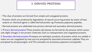 Protein-Introduction, Classification, Function, Deficiency Symptoms | PDF