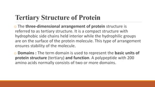 Protein.pptx