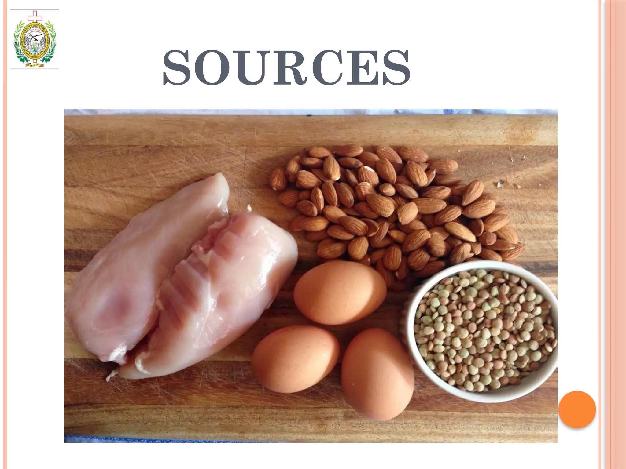 PROTEIN: types and related disorder.pptx