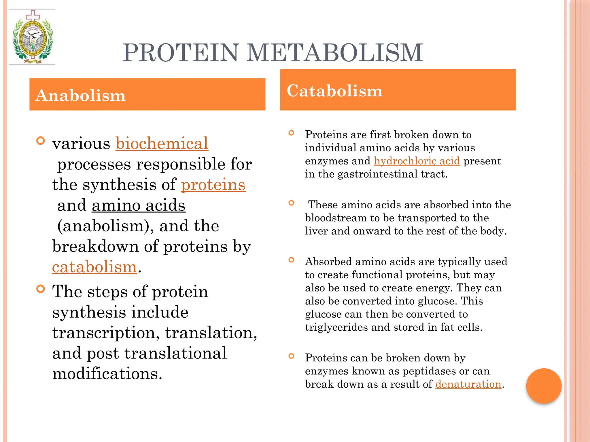 PROTEIN: types and related disorder.pptx