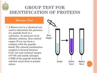PROTEIN: types and related disorder.pptx