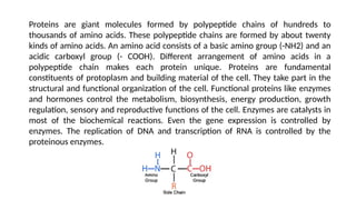 protein synthesis in Prpkaryotes and euk.pptx