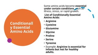Understanding Proteins: Structure, Function, metabolism and Dietary ...
