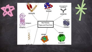 Classification of Protein-Food Science F.pptx