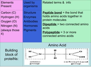 Protein materi kimia bahan pangan prodi kimia sains | PPT