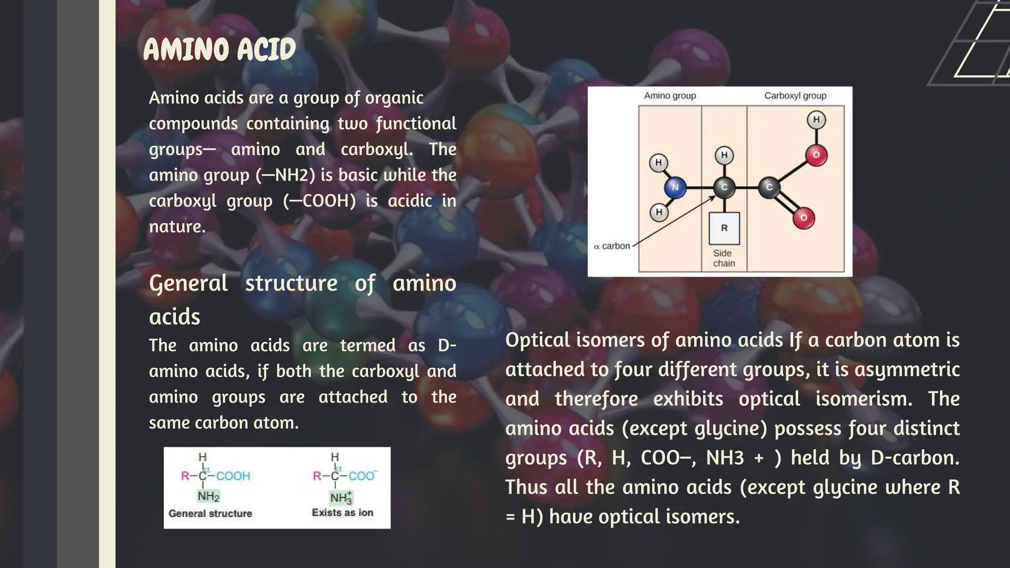 PROTEIN-AND-AMINO-ACIDS-PPT.p df | PPT