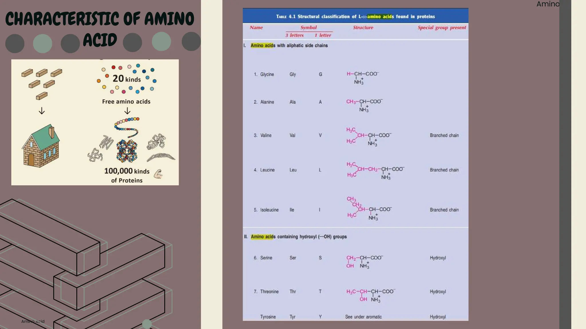 PROTEIN-AND-AMINO-ACIDS-PPT.p df | PPT