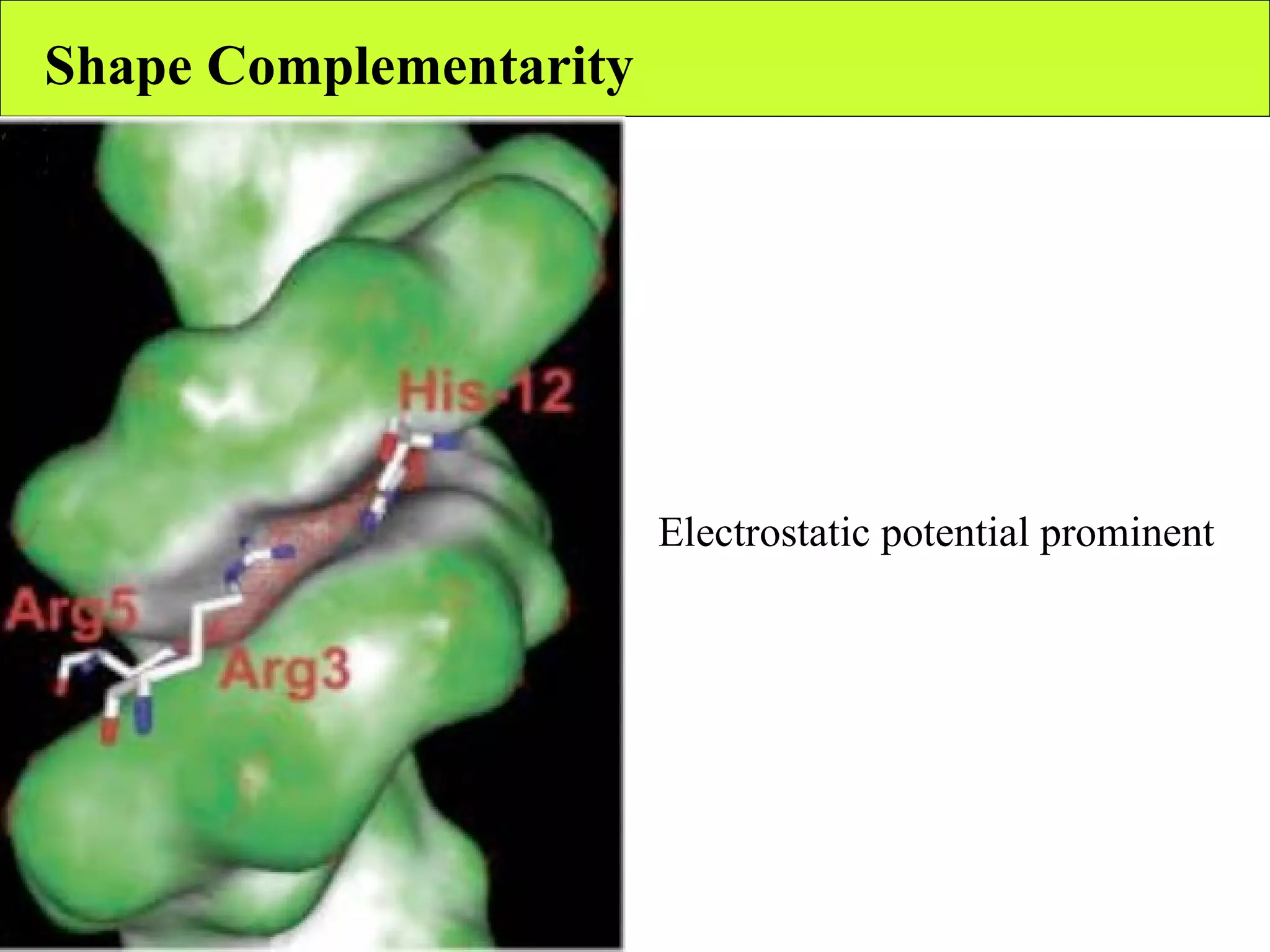 Protein dna interaction | PPT