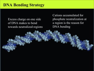 Protein dna interaction | PPT