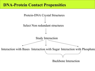 Protein dna interaction | PPT | Chemistry | Science