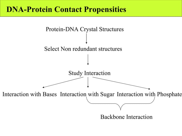 Protein dna interaction | PPT | Chemistry | Science