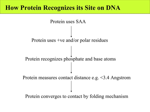 Protein dna interaction | PPT | Chemistry | Science