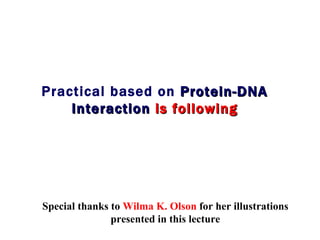 PPT DNA/Protein Structure-function Analysis And Prediction PowerPoint Presentation ID:2962113 ...