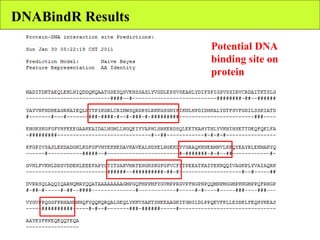 Protein dna interaction practical | PPT