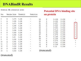 Protein dna interaction practical | PPT