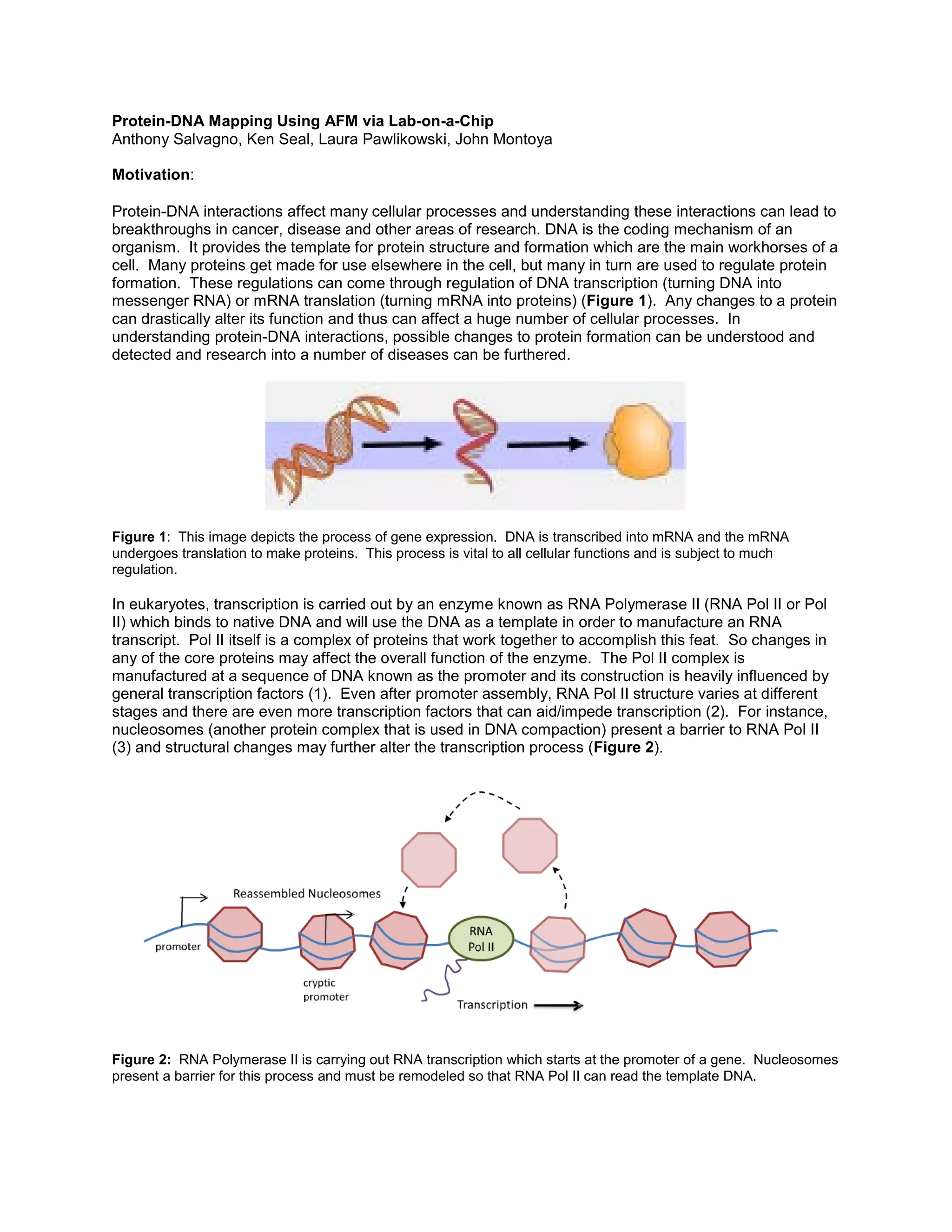 Proposal for Protein-DNA Mapping using AFM for Lab on a Chip | PDF ...