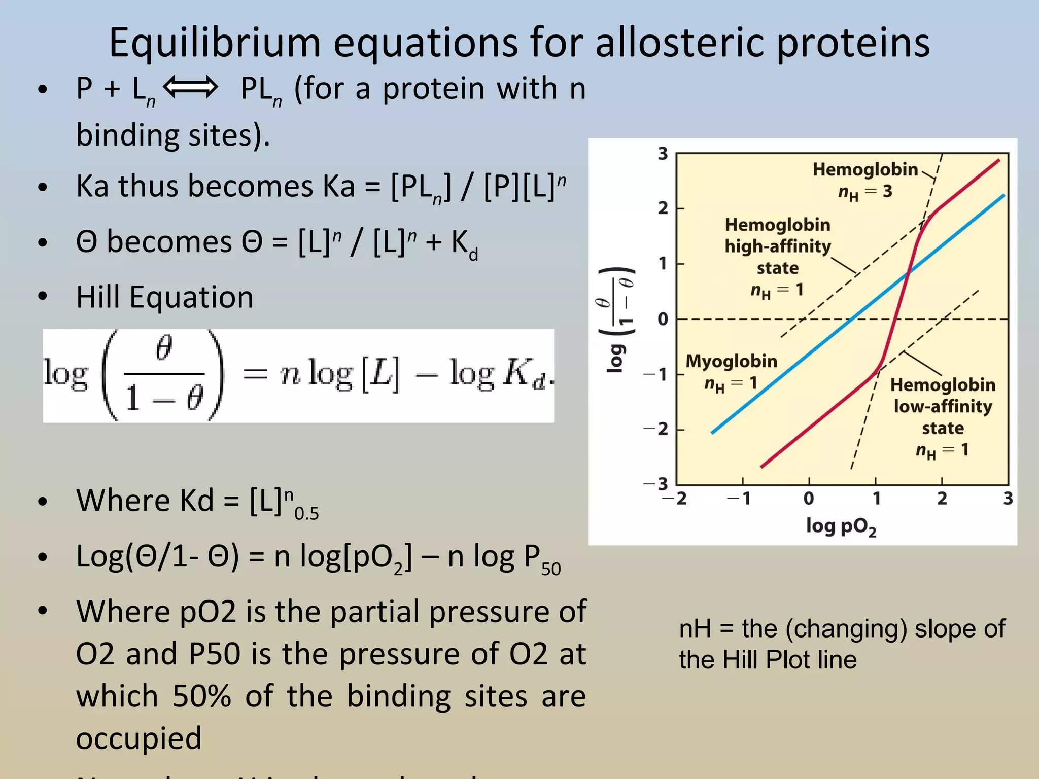 Protein Function | PPT