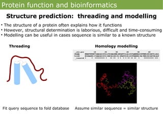 Protein function and bioinformatics | PDF