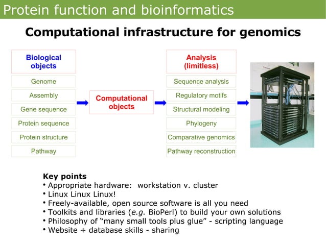 Protein function and bioinformatics | PDF