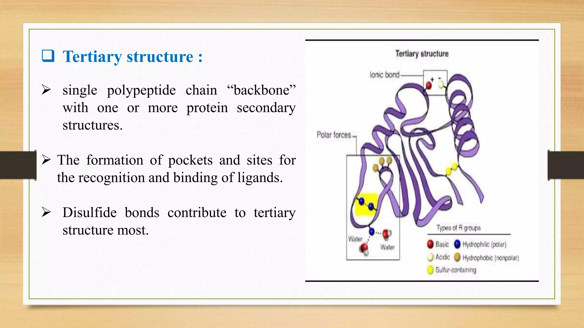 Protein-Ligand Interaction (1).pptx