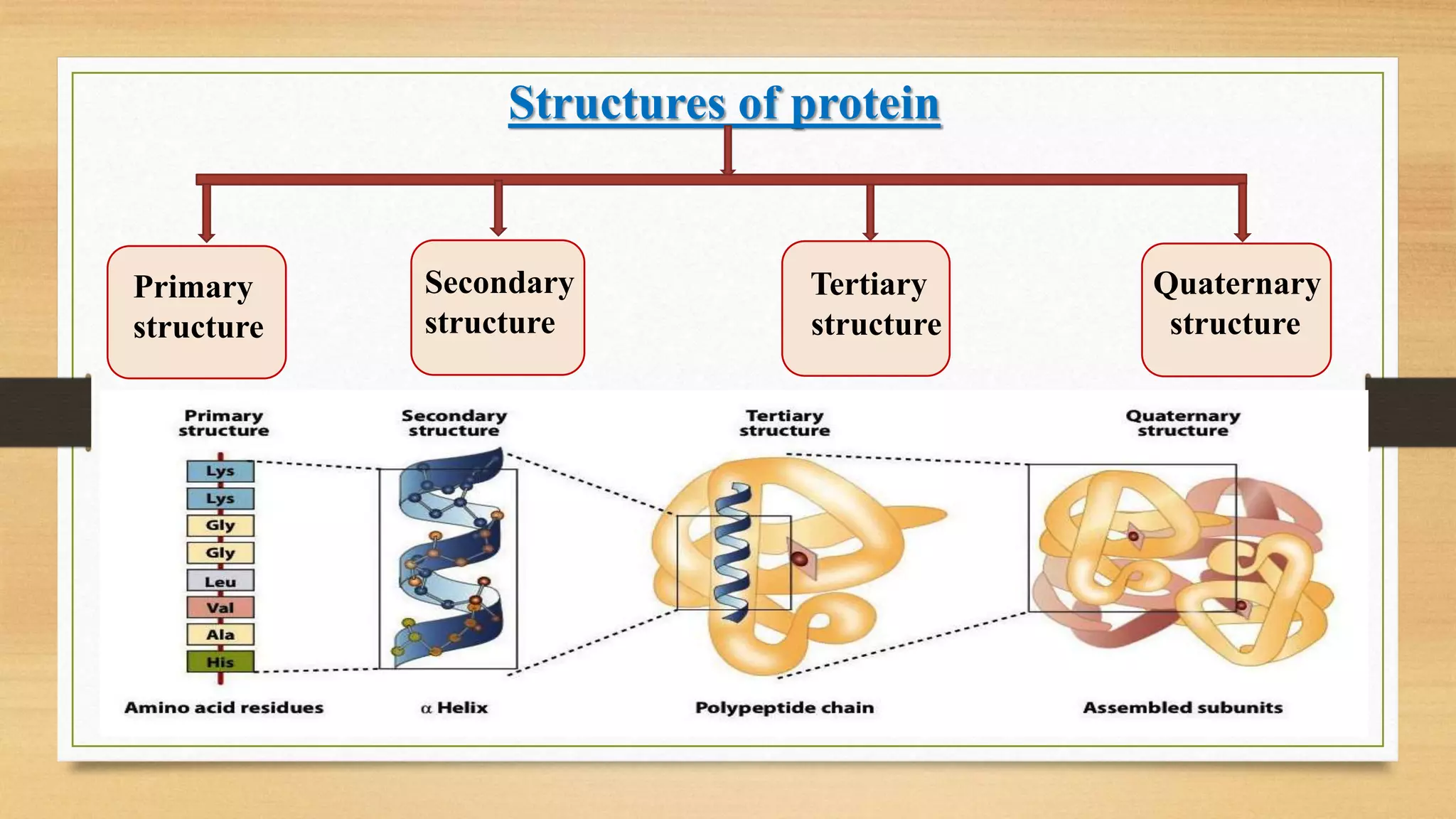 Protein-Ligand Interaction (1).pptx