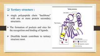 Protein-Ligand Interaction (1).pptx