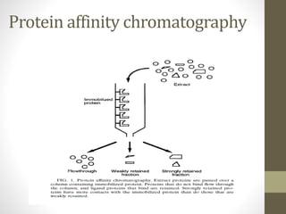 Protein protein interaction | PPTX