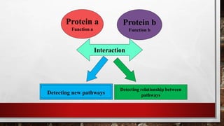 Protein protein interactions | PPTX