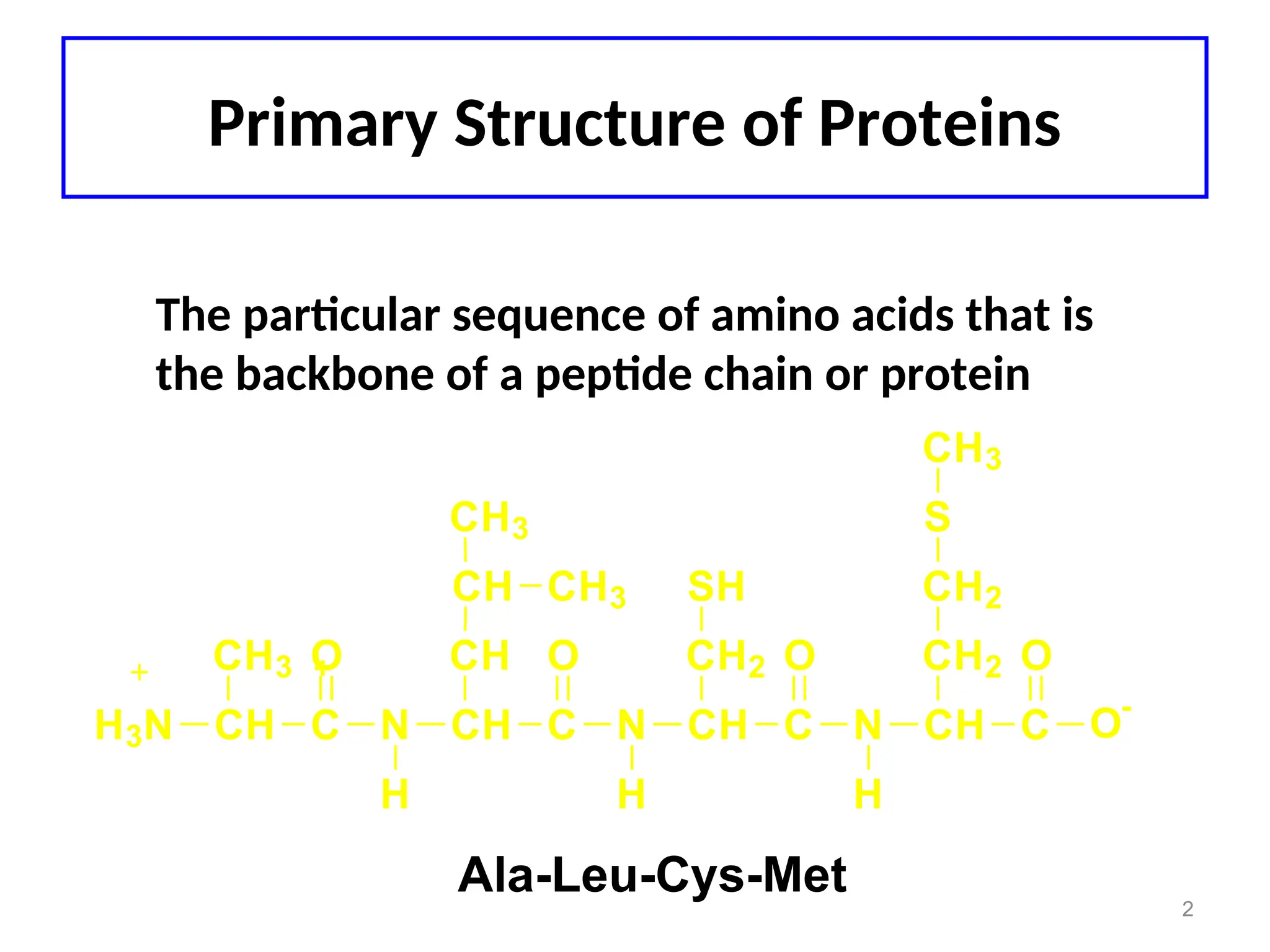 protein-structure slide share public health ppt | PPT