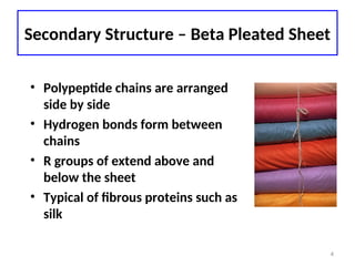 protein-structure slide share public health ppt | PPT