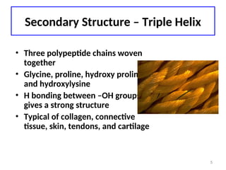 protein-structure slide share public health ppt | PPT