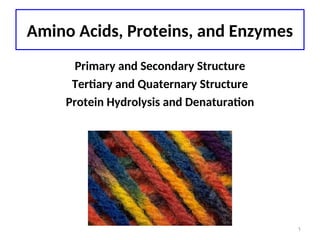 Protein Structure Ppt Protein Structures Ppt