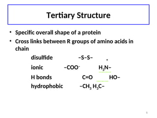 protein-structure.ppt protein structures | PPT