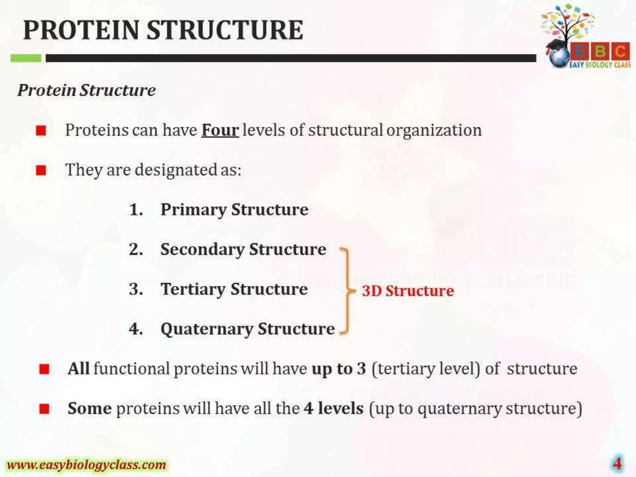 Protein structure-ppt-by-easybiologyclass | PPT